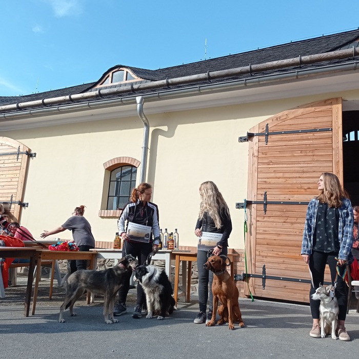 Report DT Zde jsou lvi a vyhlášení MČR Long :: Hanacky mushers club, z.s.
